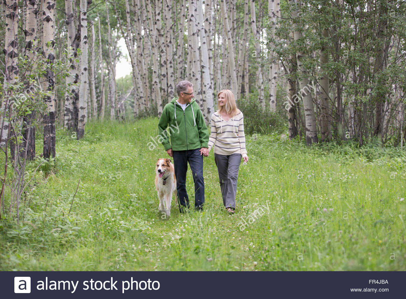 middle-aged couple walking dog in woodlands Stock Photo - Alamy