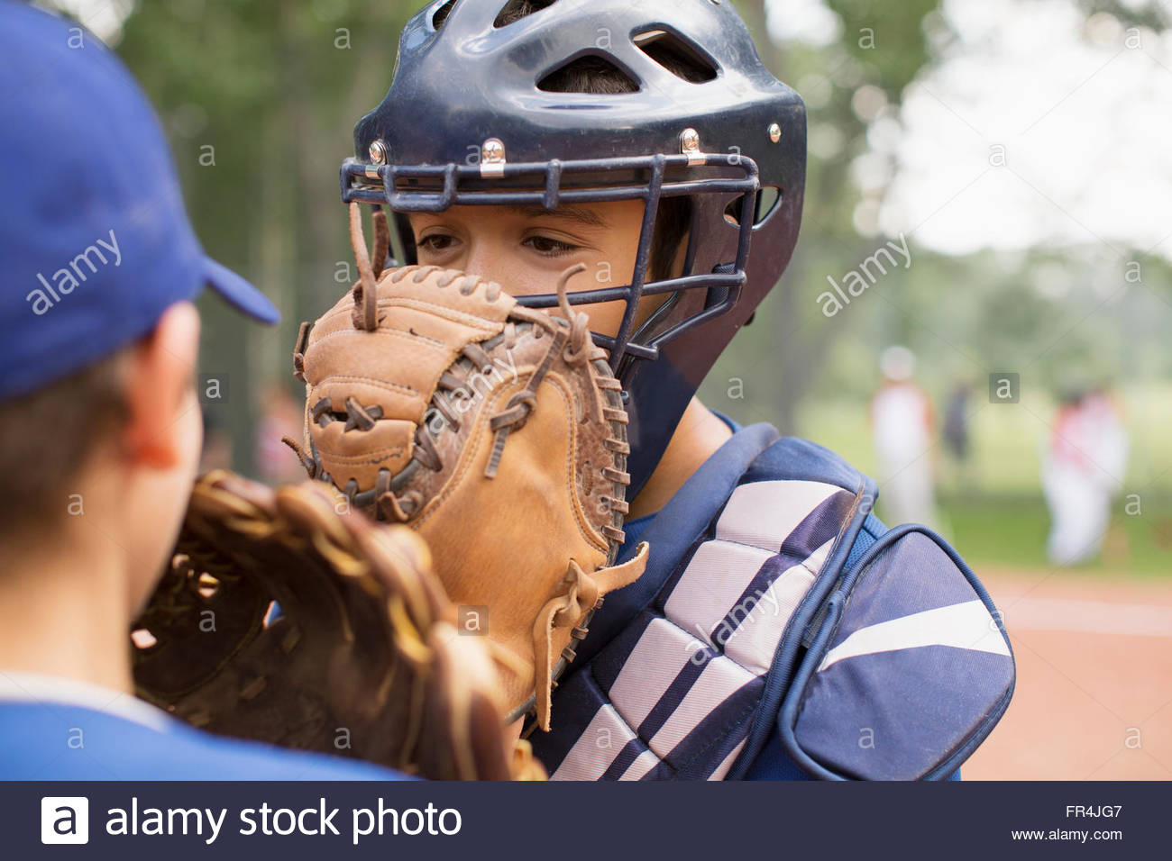 Pitcher plan hi-res stock photography and images - Alamy