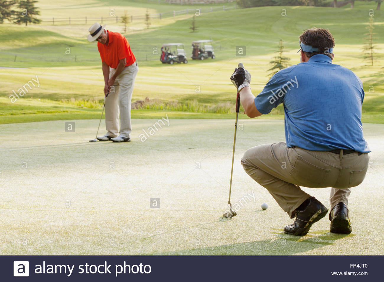 Green gray lining hi-res stock photography and images - Alamy