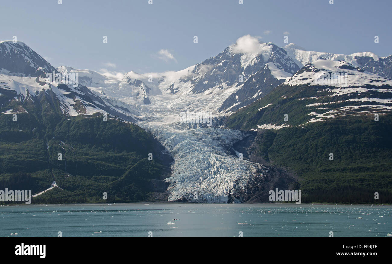 College fjord in prince hi-res stock photography and images - Alamy