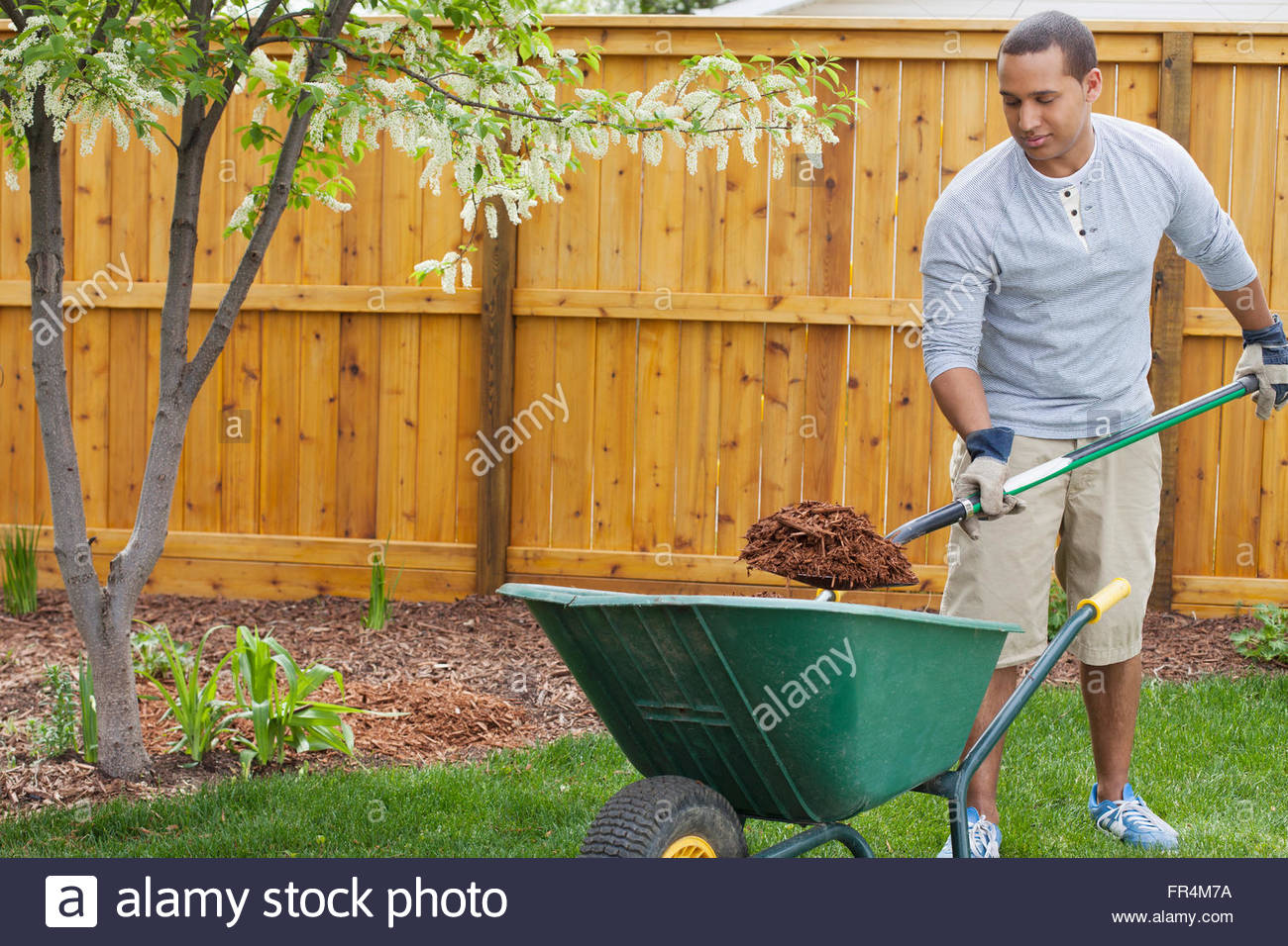 young adult man working in backyard Stock Photo - Alamy