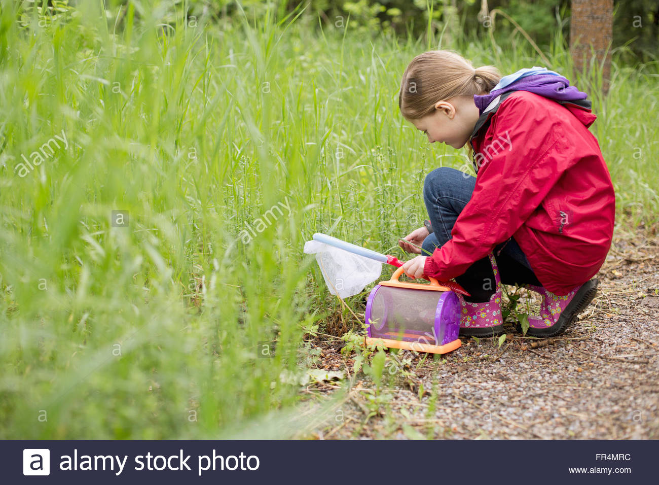 Cute bugs hi-res stock photography and images - Alamy