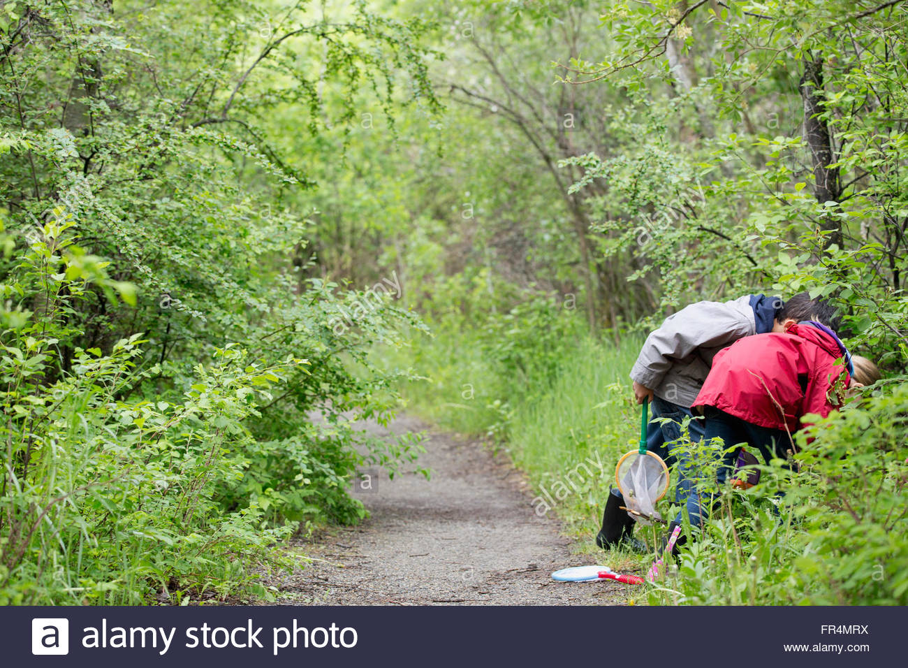 Elementary school students on field trip hi-res stock photography and ...
