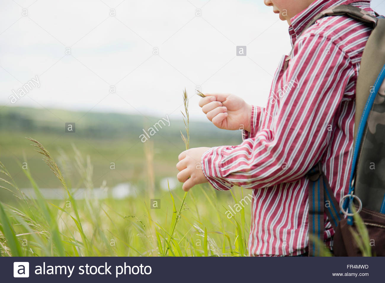 elementary student examining grass on field trip Stock Photo - Alamy