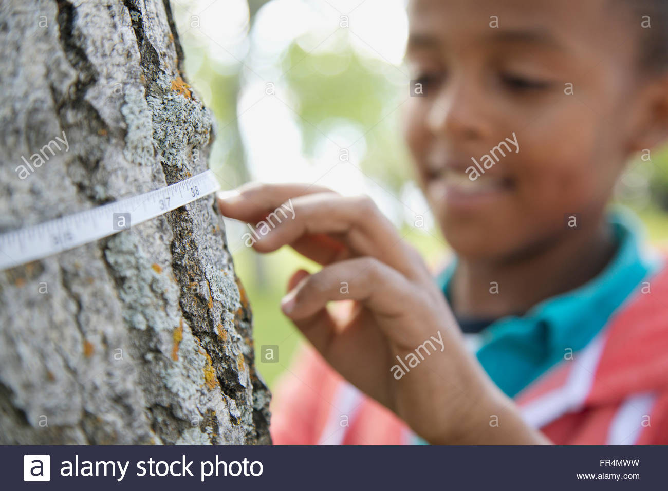 Measuring nature hi-res stock photography and images - Alamy