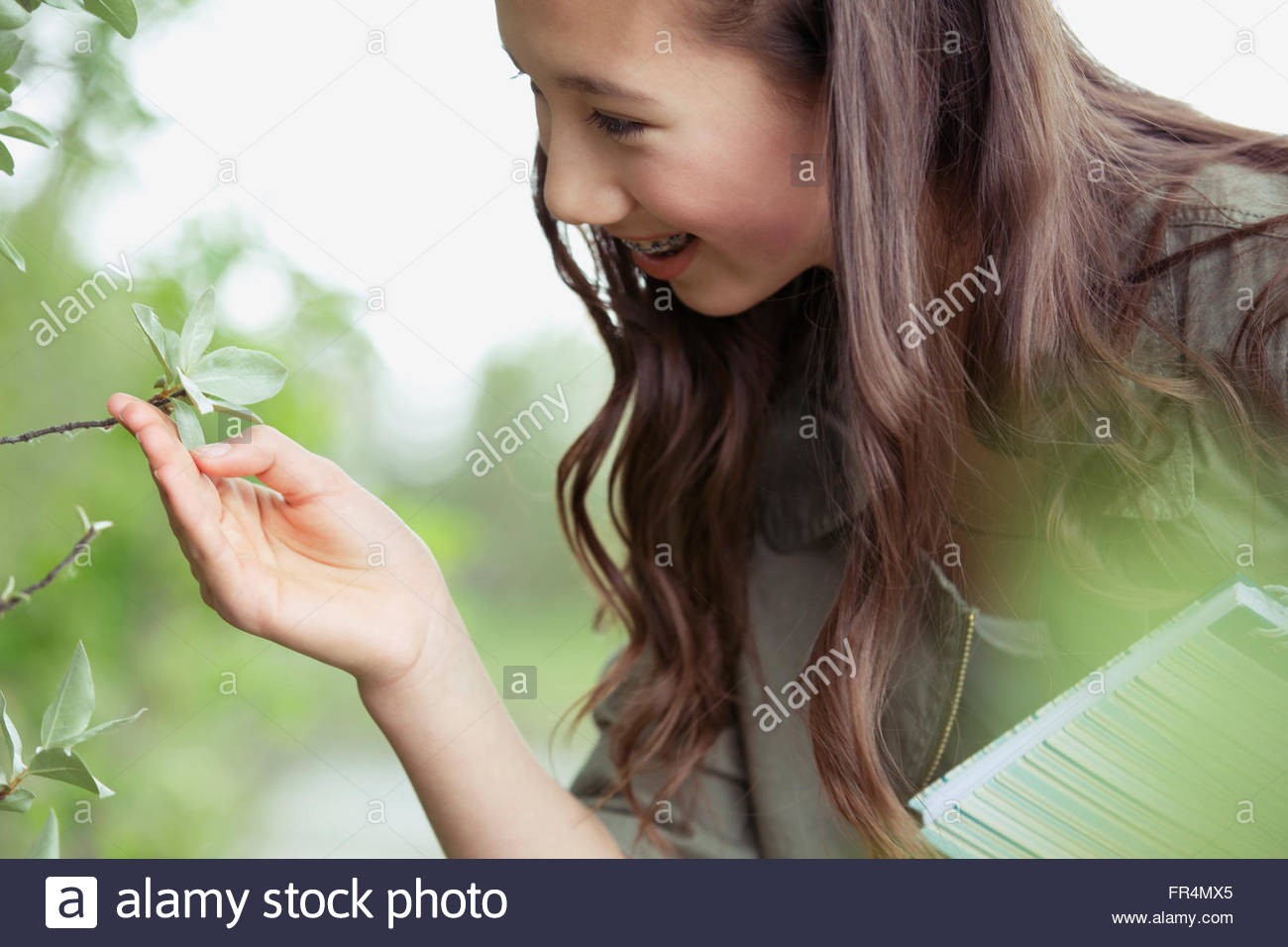 Bending leaf up hi-res stock photography and images - Alamy