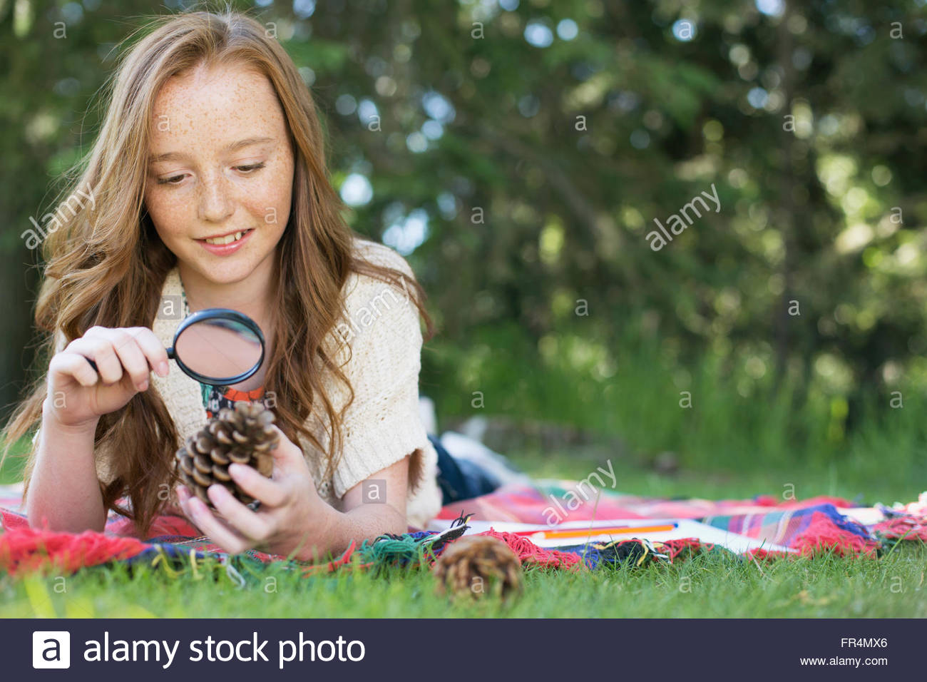 student looking at pinecone through magnifying glass Stock Photo - Alamy