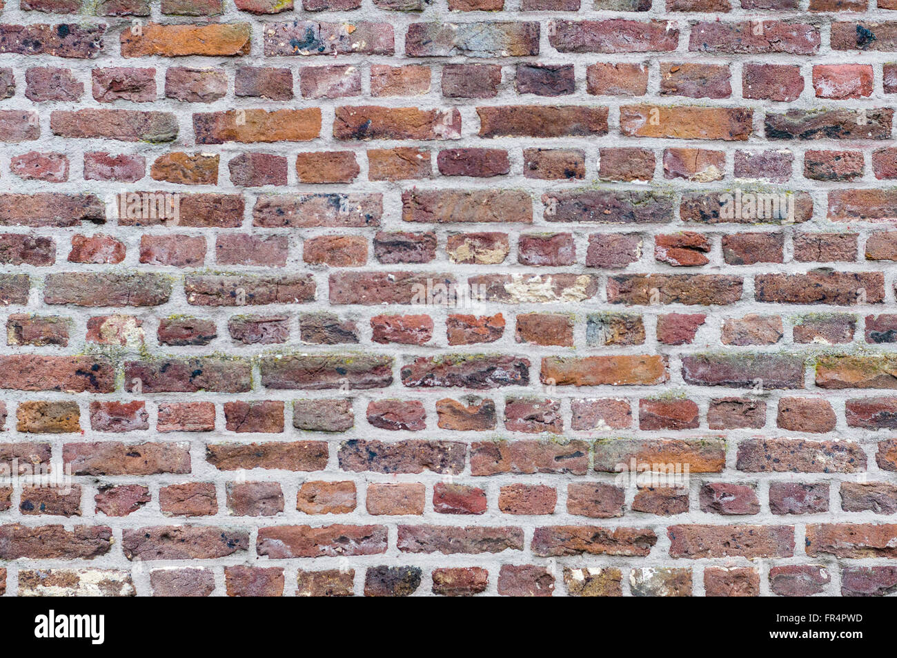 Multiplt Brick Wall Photography Shoot Locations With Exposed Brick