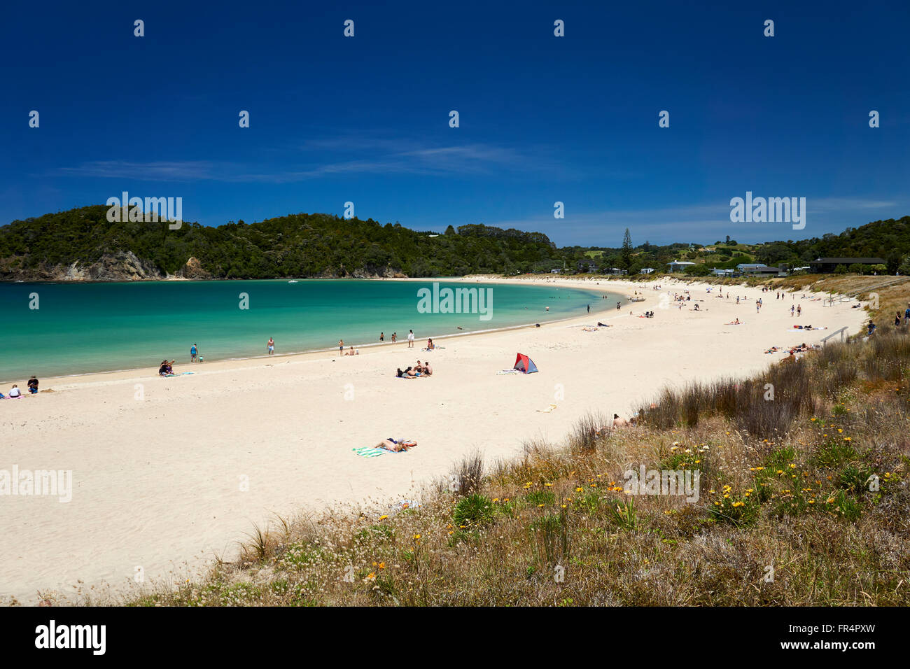 Nz beach scene hi-res stock photography and images - Alamy