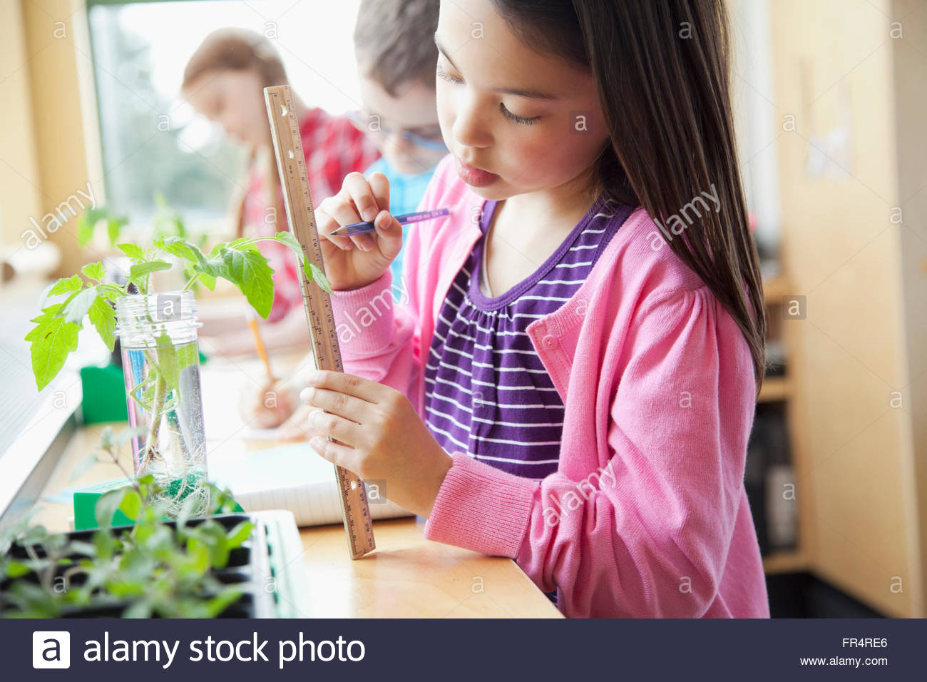 Measuring plants ruler hi-res stock photography and images - Alamy