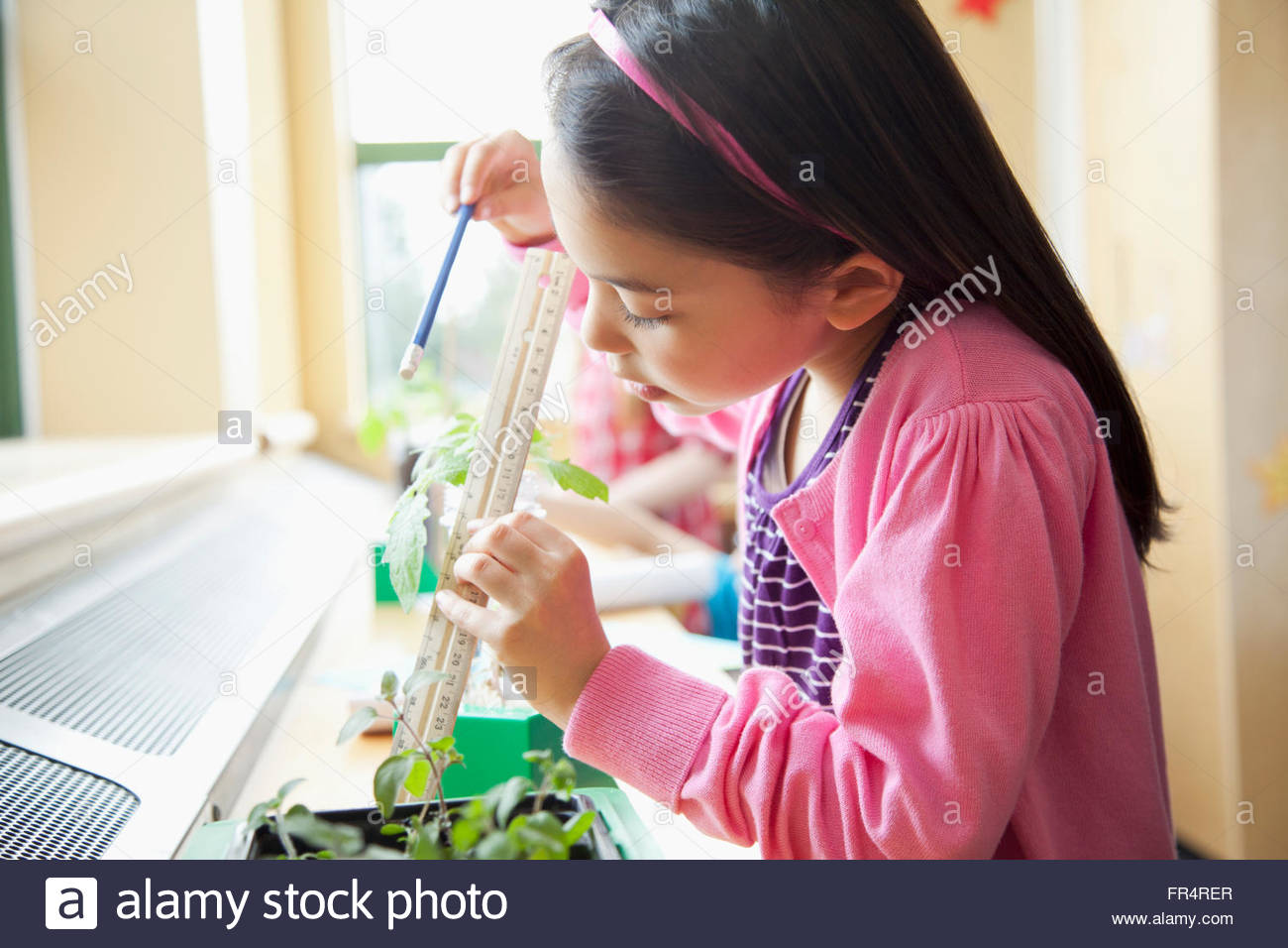Student measuring plant hi-res stock photography and images - Alamy