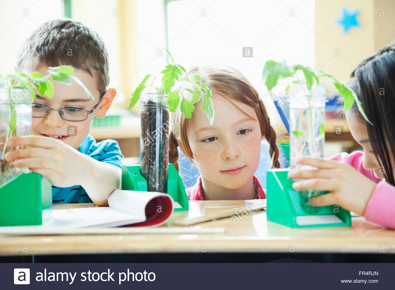 Child plant measure hi-res stock photography and images - Alamy