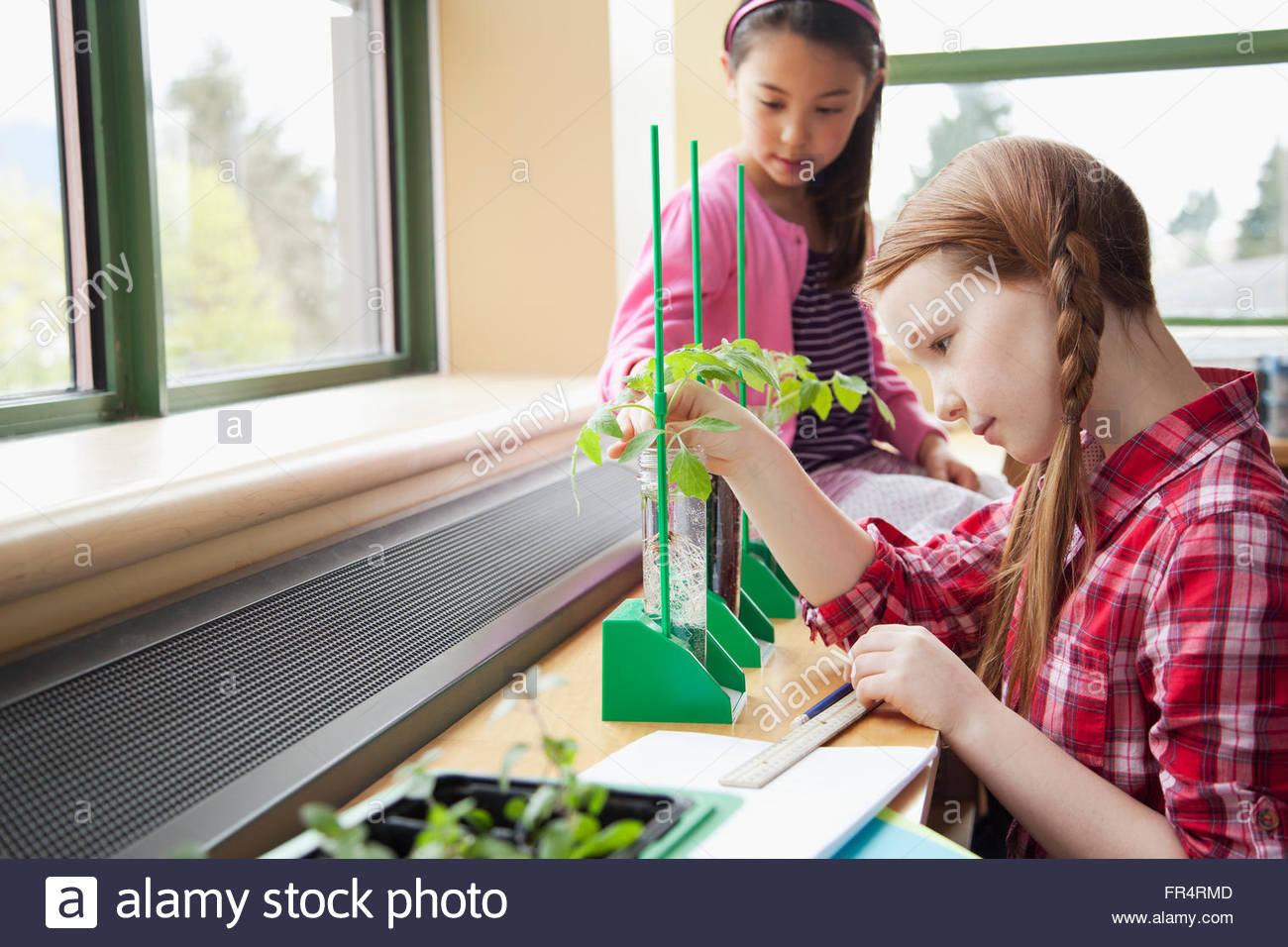 Elementary student measuring plant hi-res stock photography and images ...