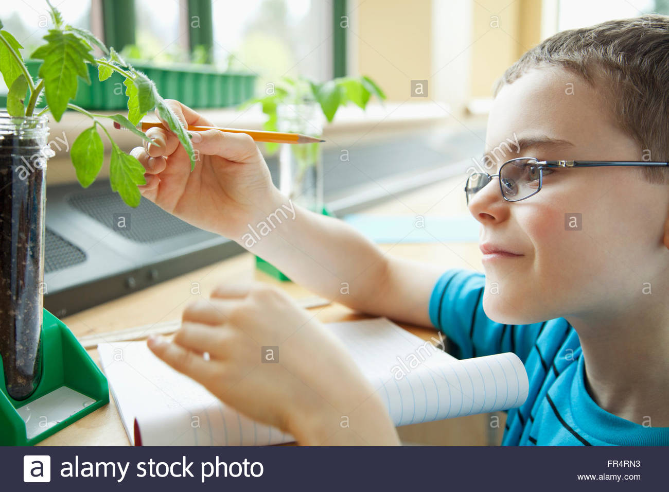 Child plant measure hi-res stock photography and images - Alamy