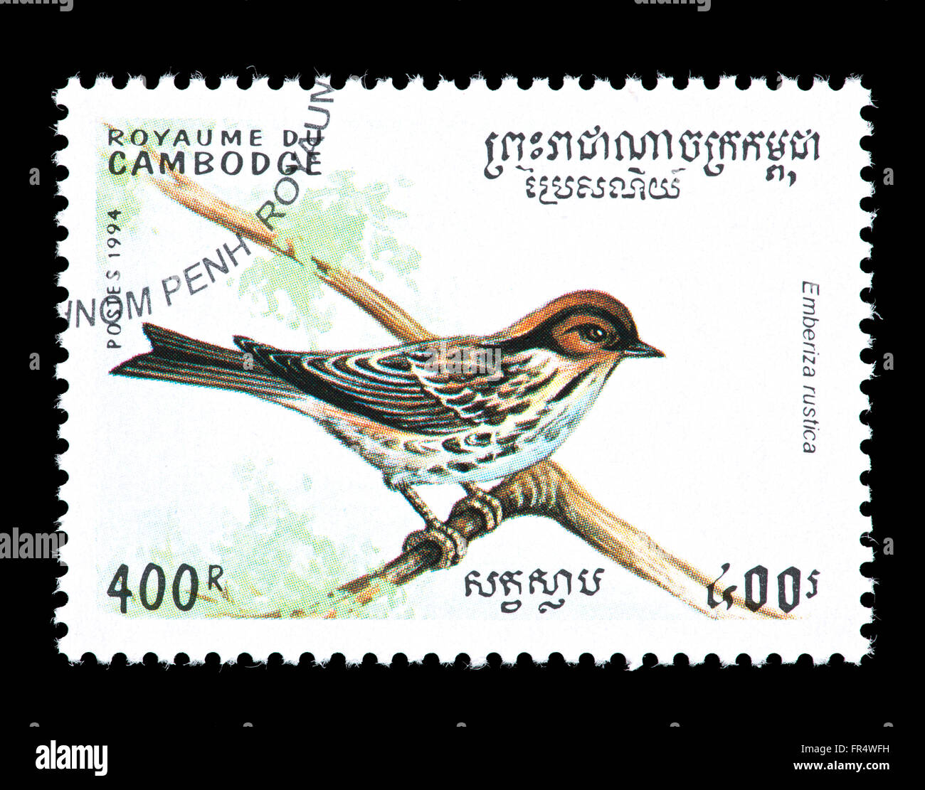 Postage stamp from Cambodia depicting a rustic bunting (Emberiza ...