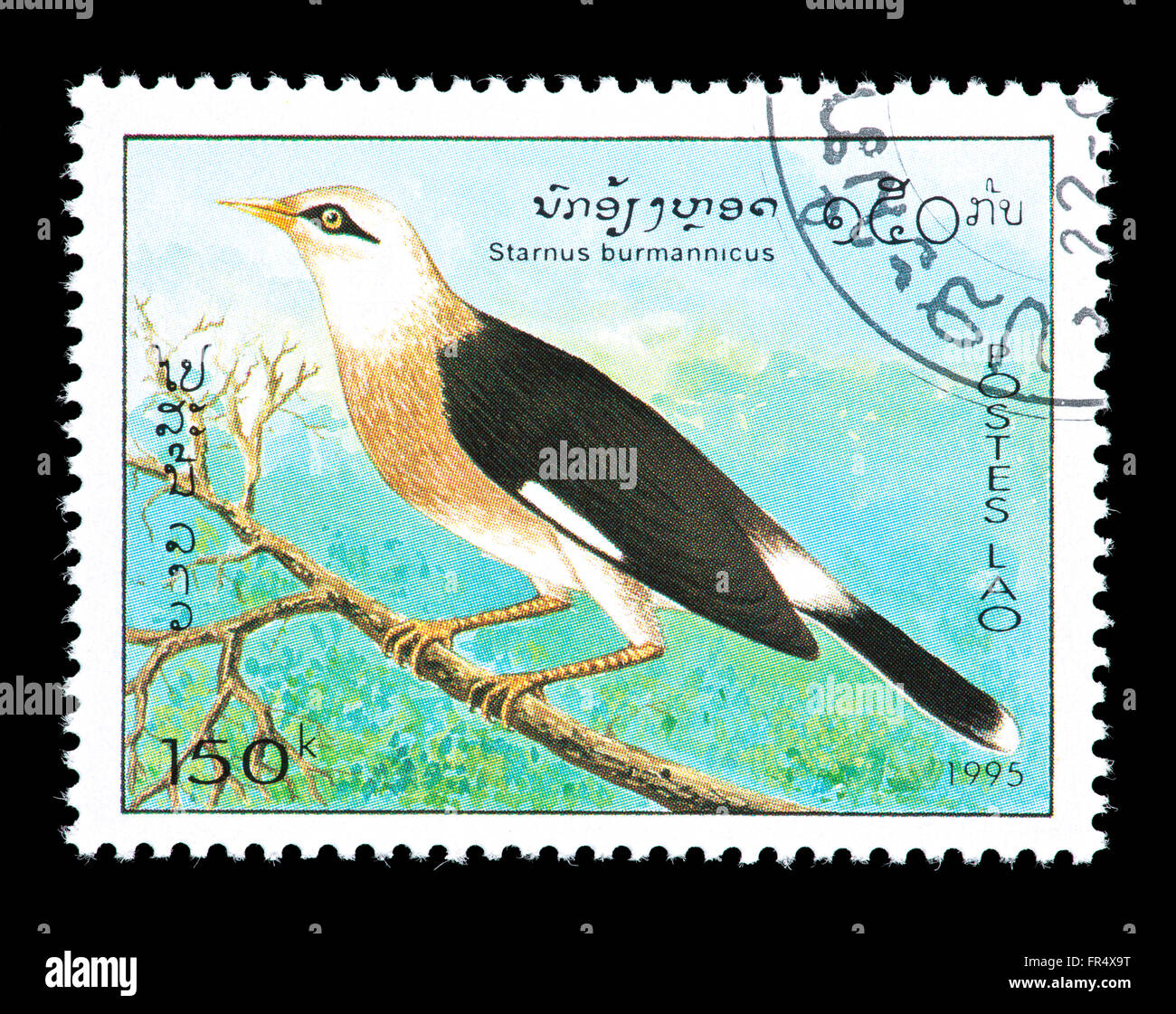 Postage stamp from Laos depicting a Vinous-breasted Starling ( Sturnus ...