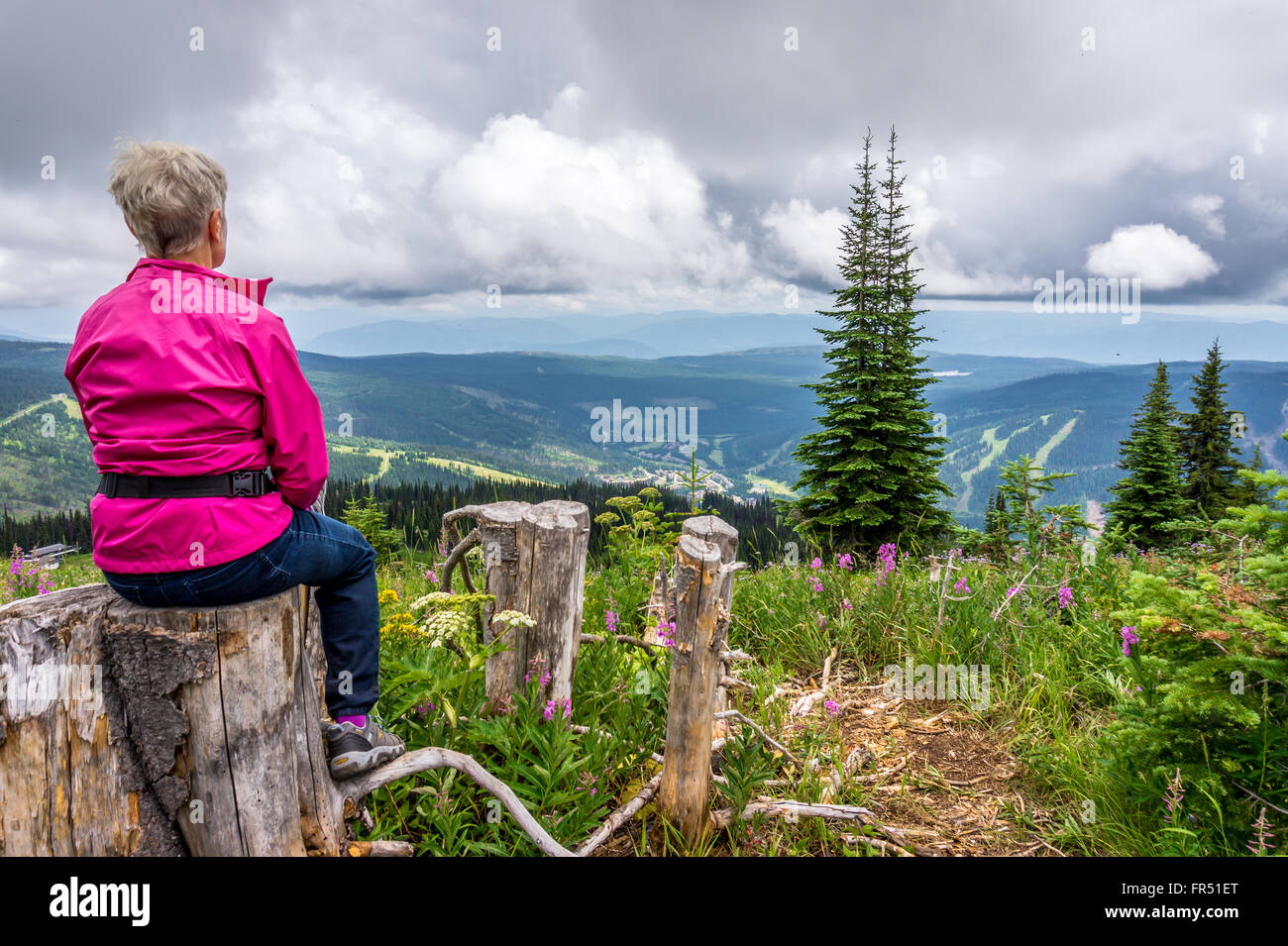 Stump mountain hi-res stock photography and images - Alamy