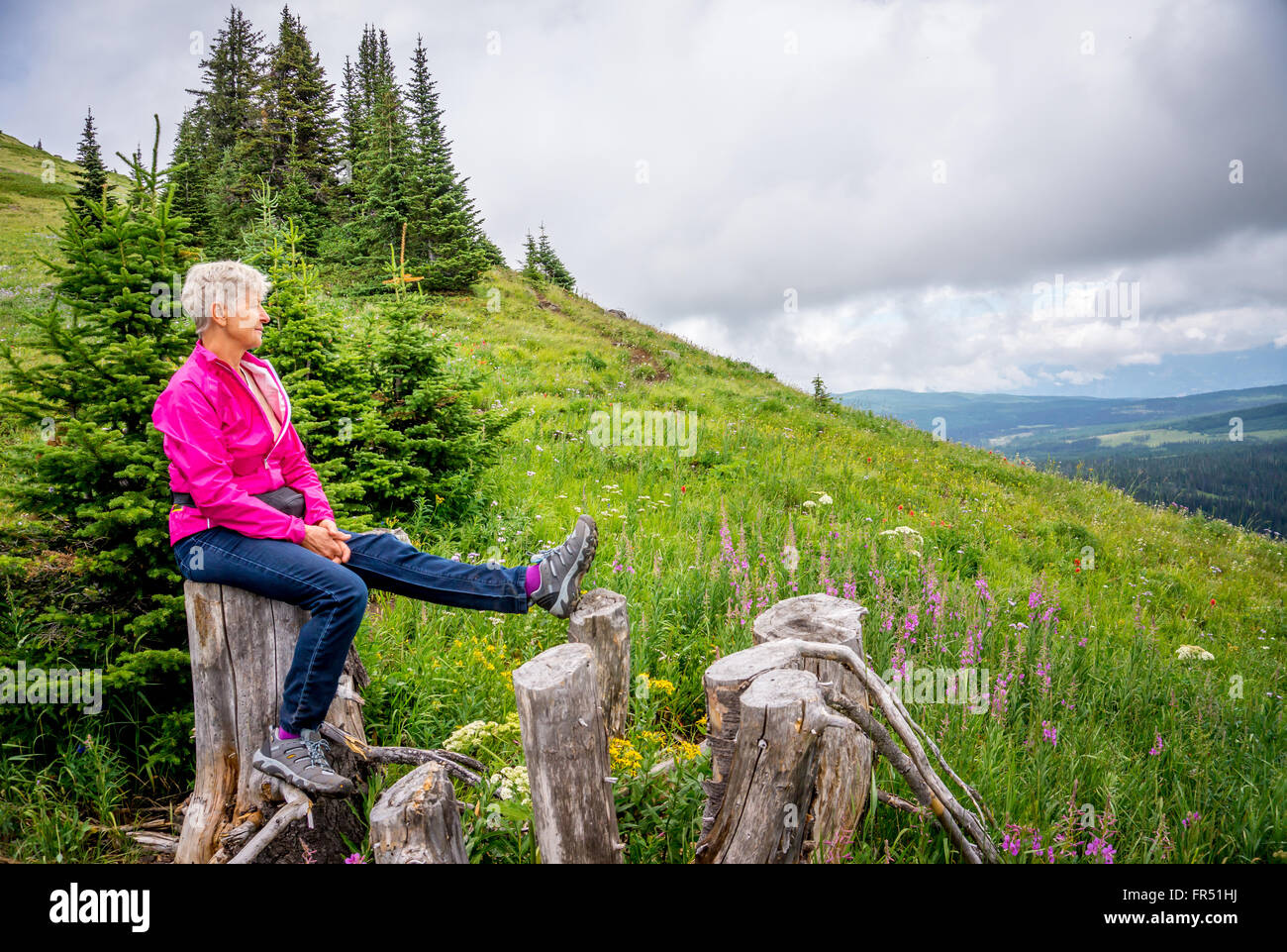 Stump mountain hi-res stock photography and images - Alamy