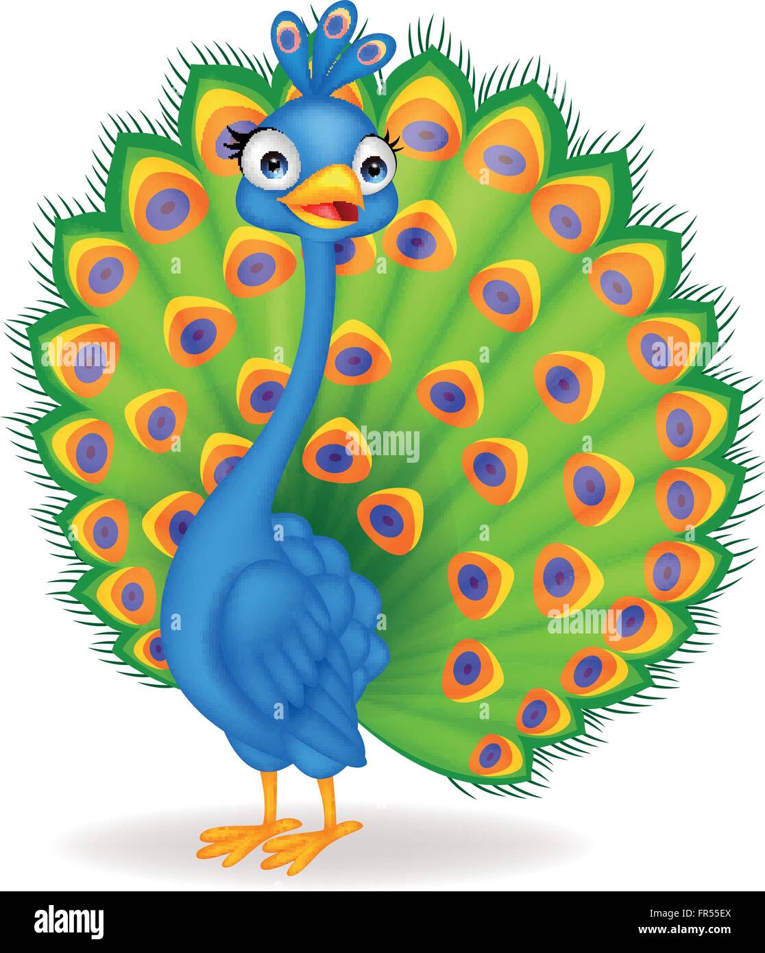 Peacock cartoon hi-res stock photography and images - Alamy