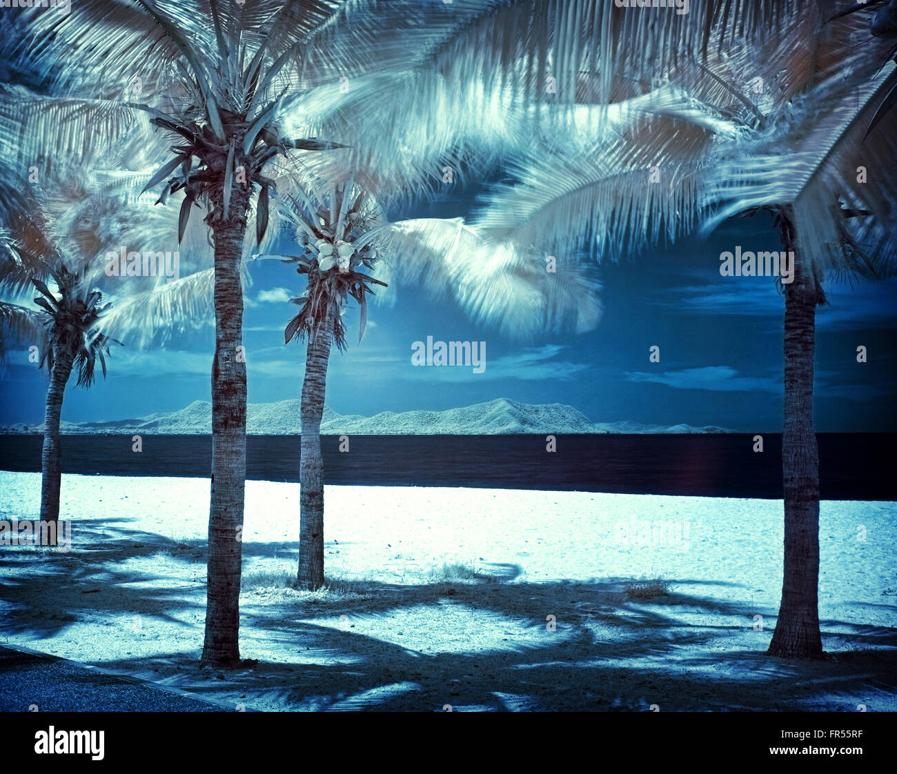 Mono infrared hi-res stock photography and images - Alamy