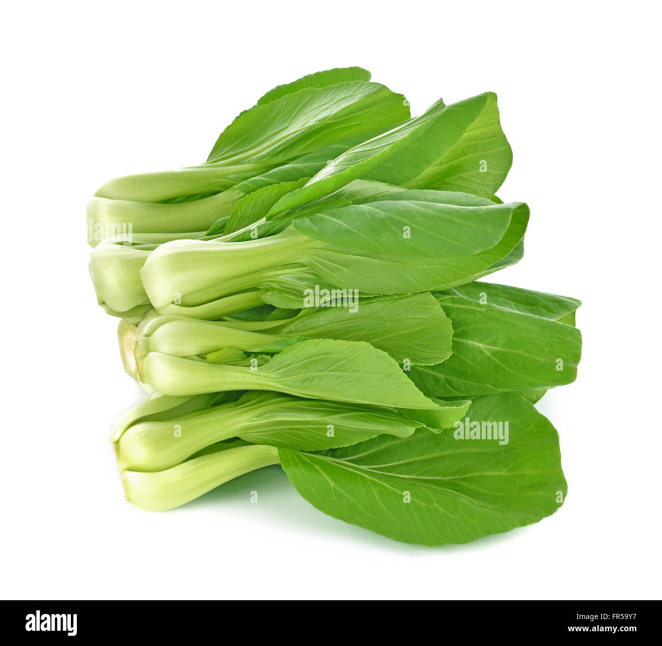 Bok choy (chinese cabbage) isolated on white background Stock Photo - Alamy
