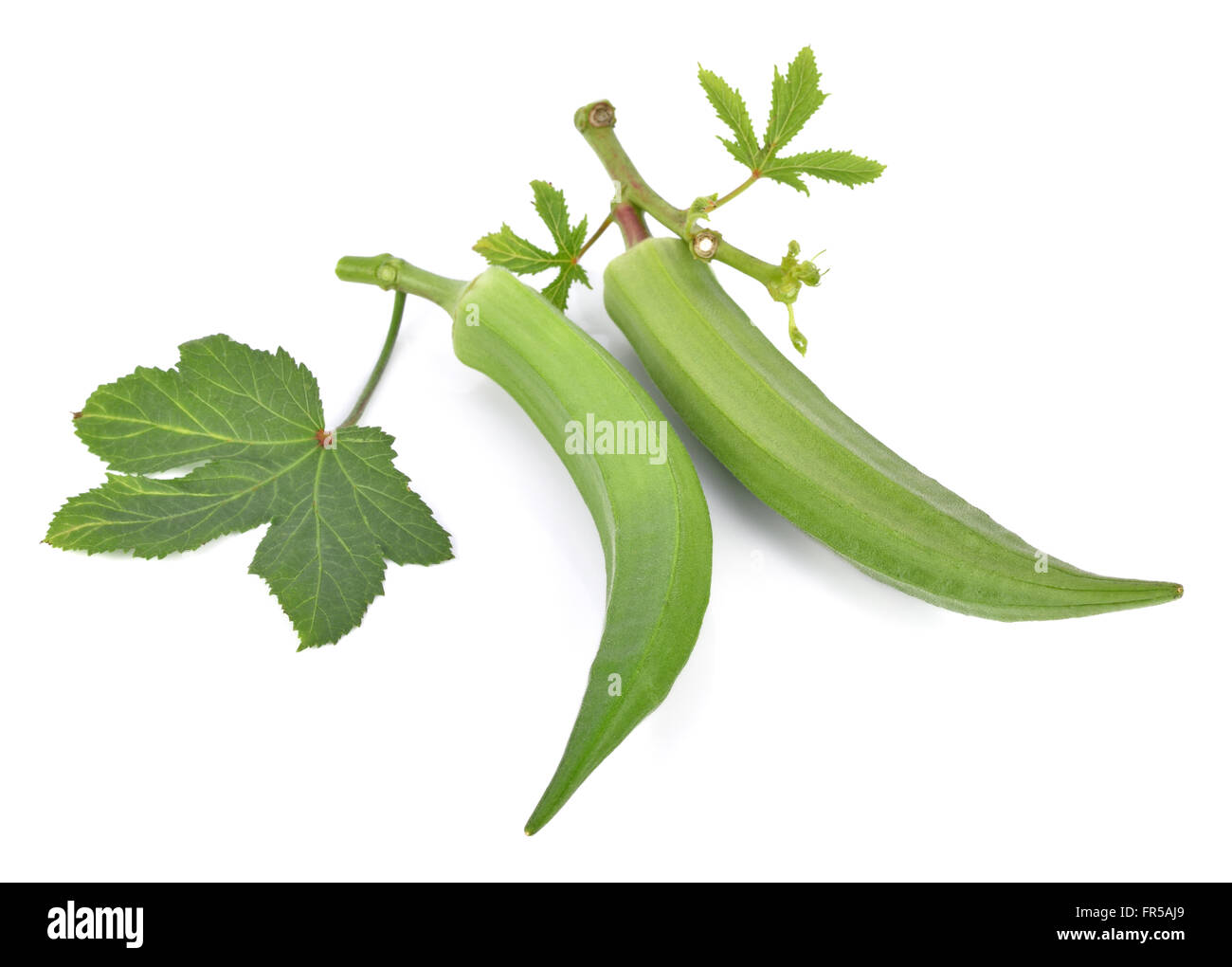 fresh okra isolated on white background Stock Photo - Alamy