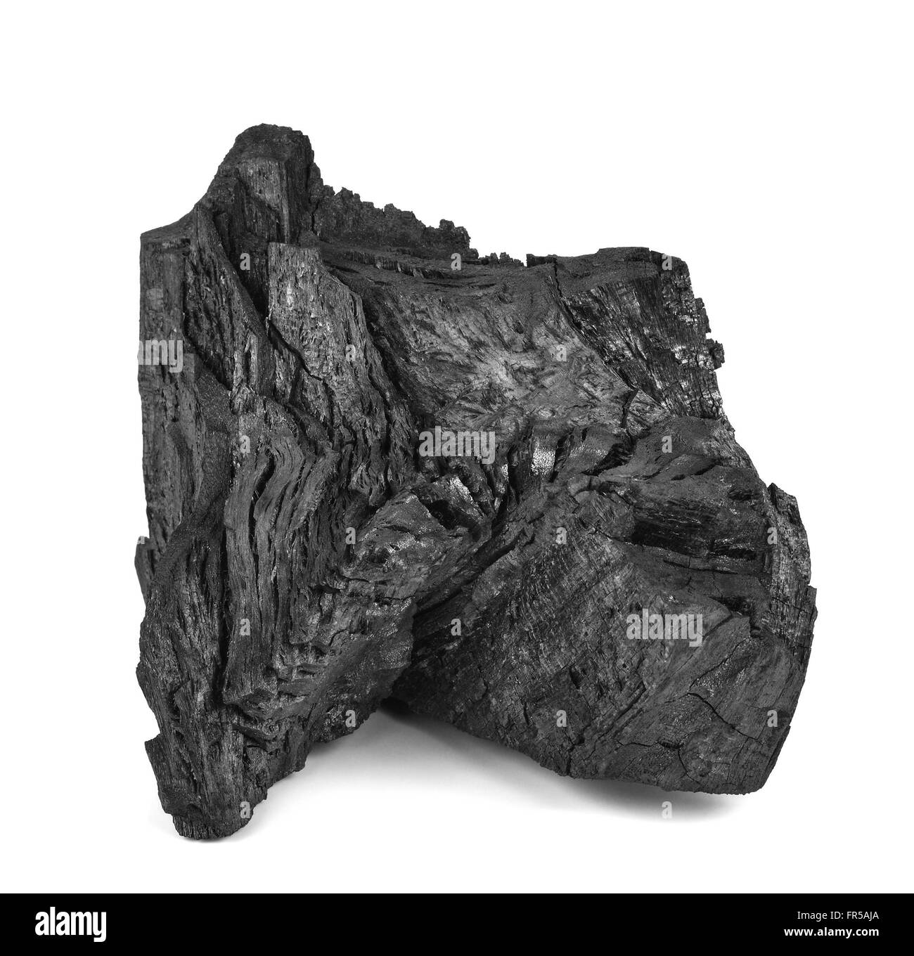 Small fossil Black and White Stock Photos & Images - Alamy