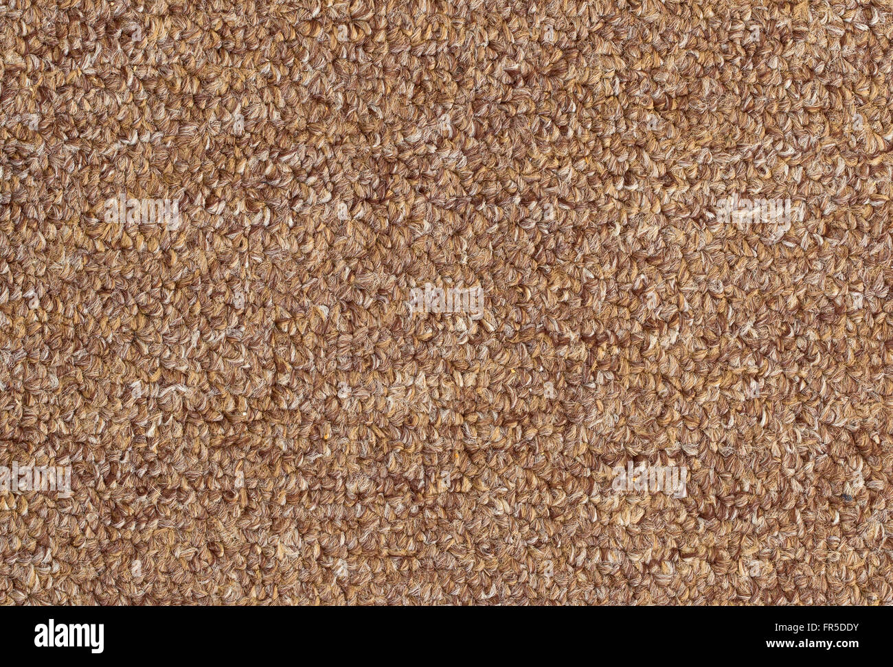 Carpet texture close-up, beige furry carpet texture background Stock ...