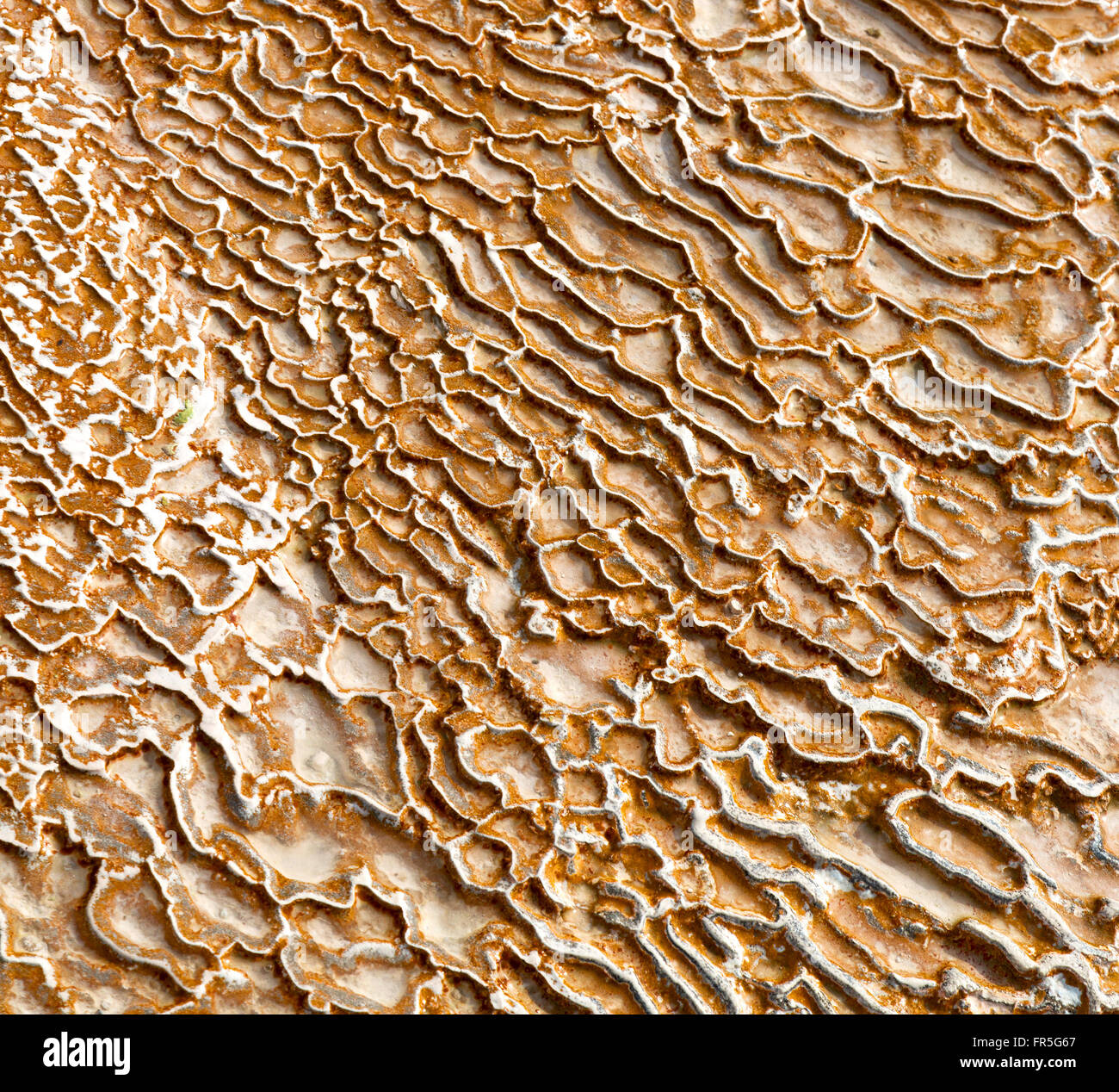 unique abstract in pamukkale turkey asia the old calcium bath and ...