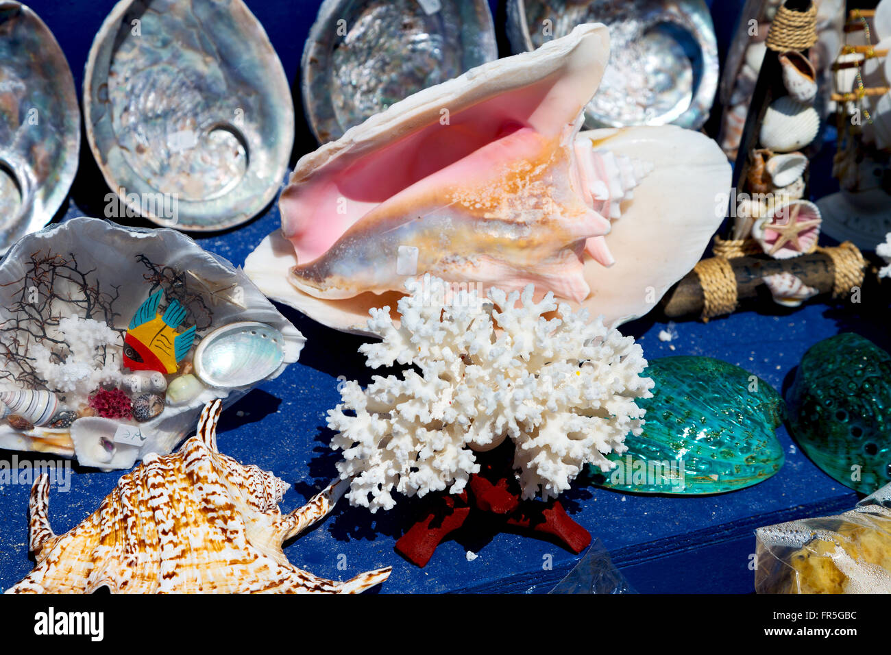 full in market old table shell and sealife in sale Stock Photo - Alamy