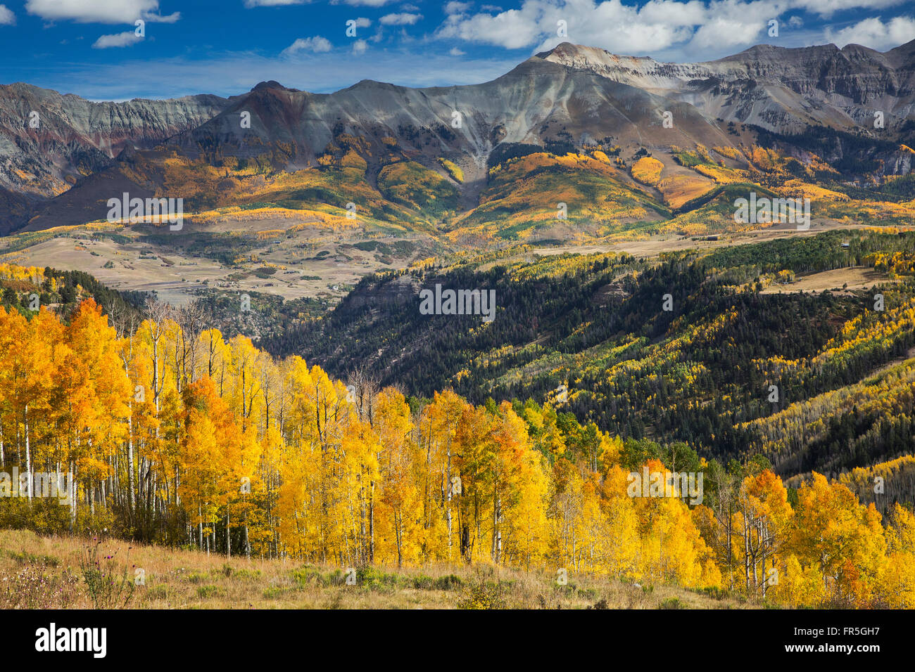Yellow autumn trees on sunny hillside below mountains, Sunshine Mesa ...