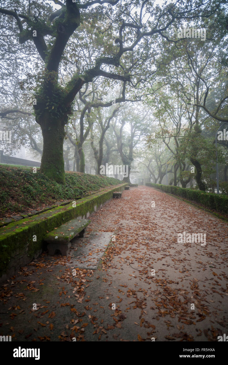 Parque de alameda spain hi-res stock photography and images - Alamy