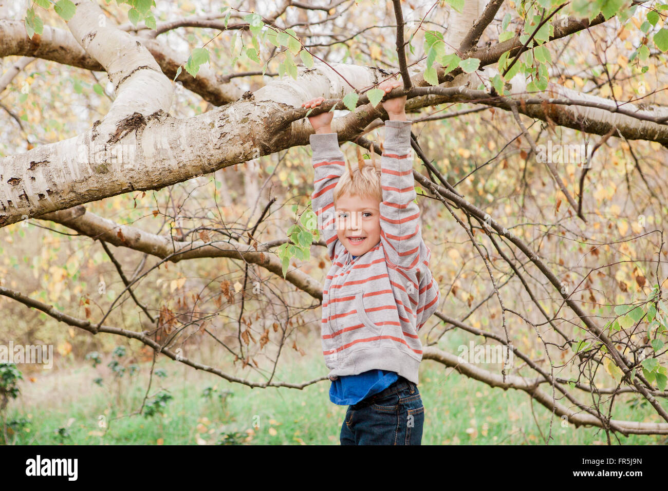 Portrait smiling toddler hanging from tree branch Stock Photo - Alamy