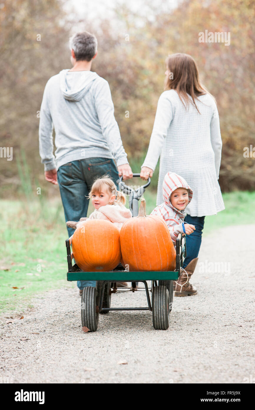 Parents pulling toddler children and pumpkins riding in wagon Stock ...