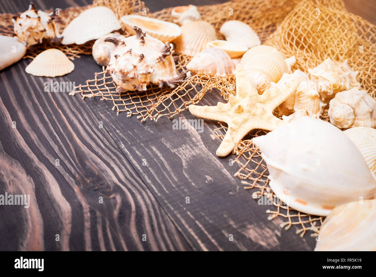 Sea shells on a dark old plank background Stock Photo - Alamy