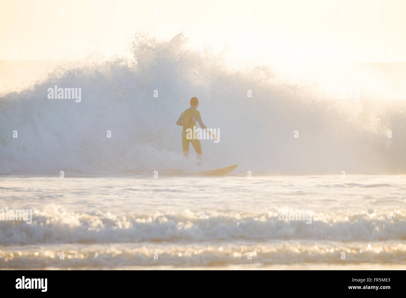 Surfer riding a big wave Stock Photo - Alamy
