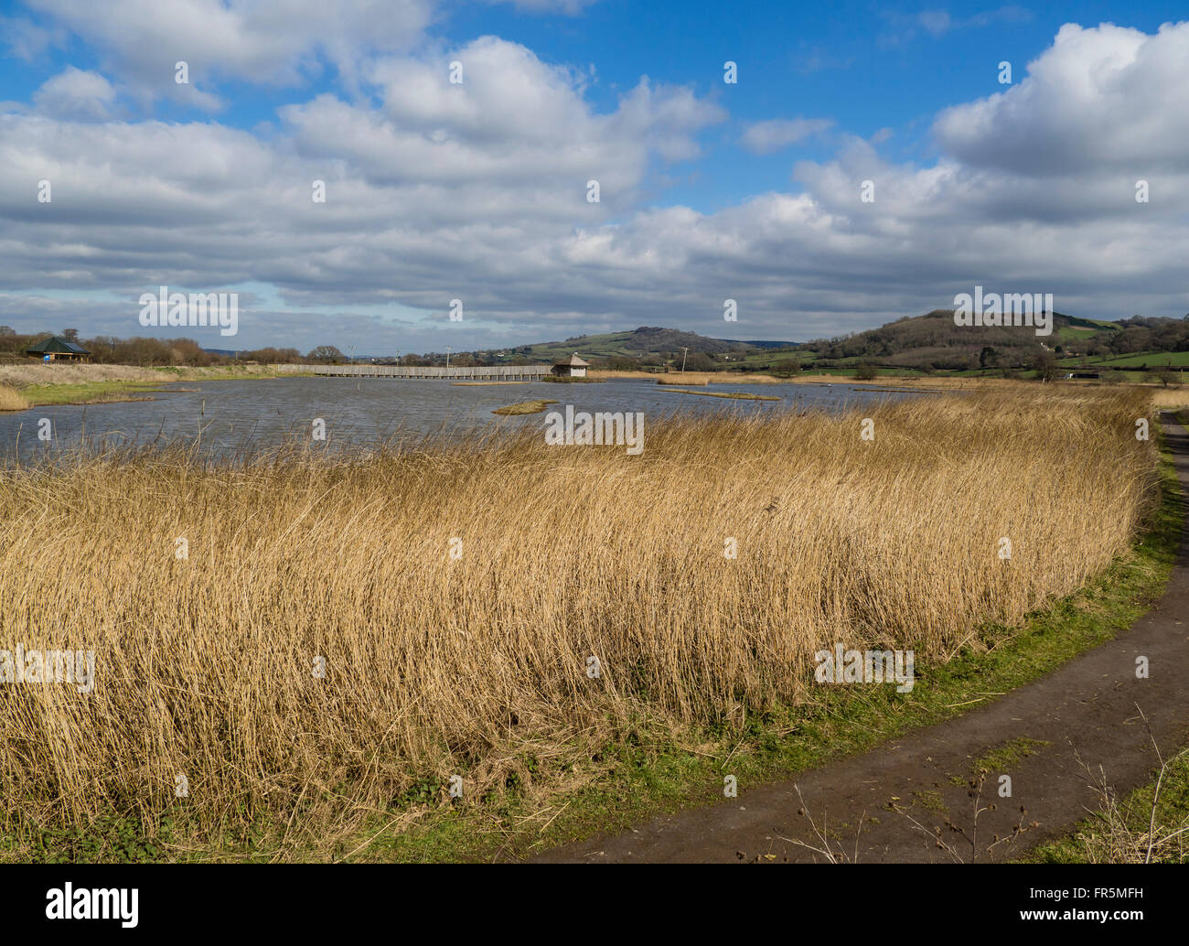 Seaton Wetlands Nature Reserve, East Devon, England, UK Stock Photo - Alamy
