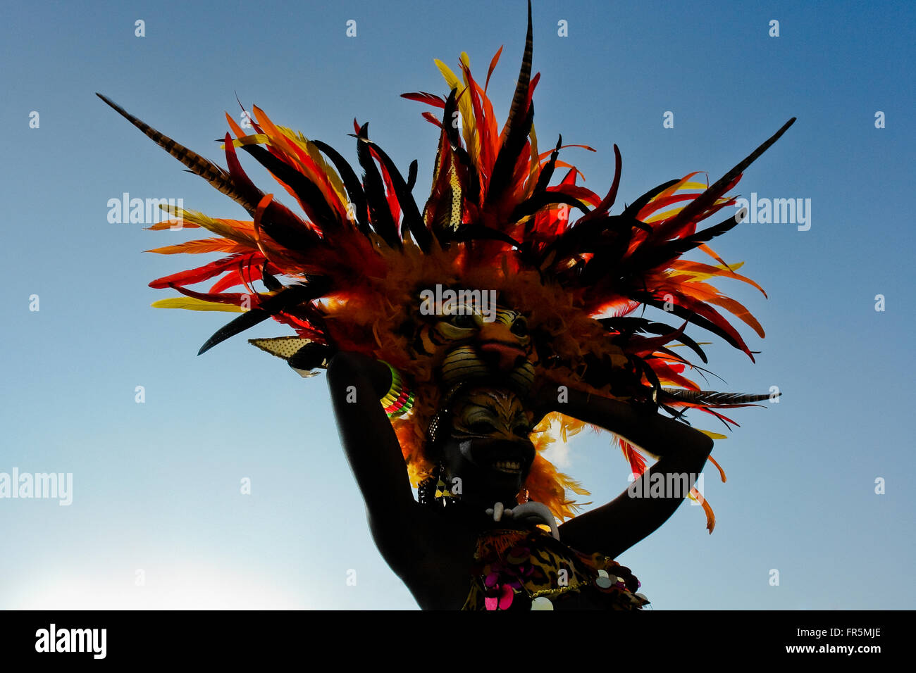 A Colombian girl, having a tiger mask, dances during the Carnival in ...