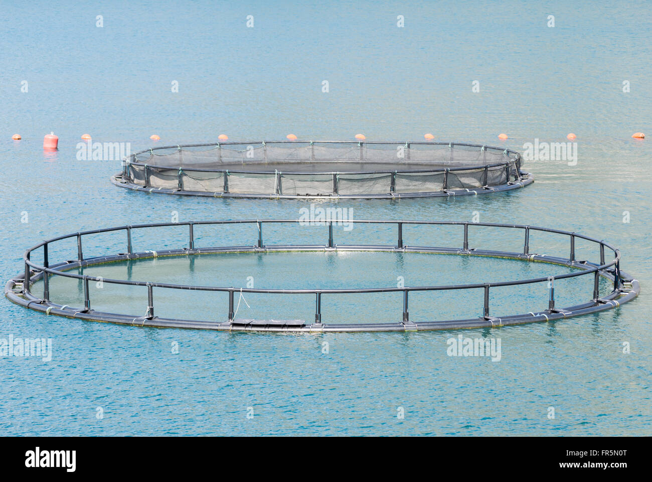 Cages for fish farming Stock Photo - Alamy