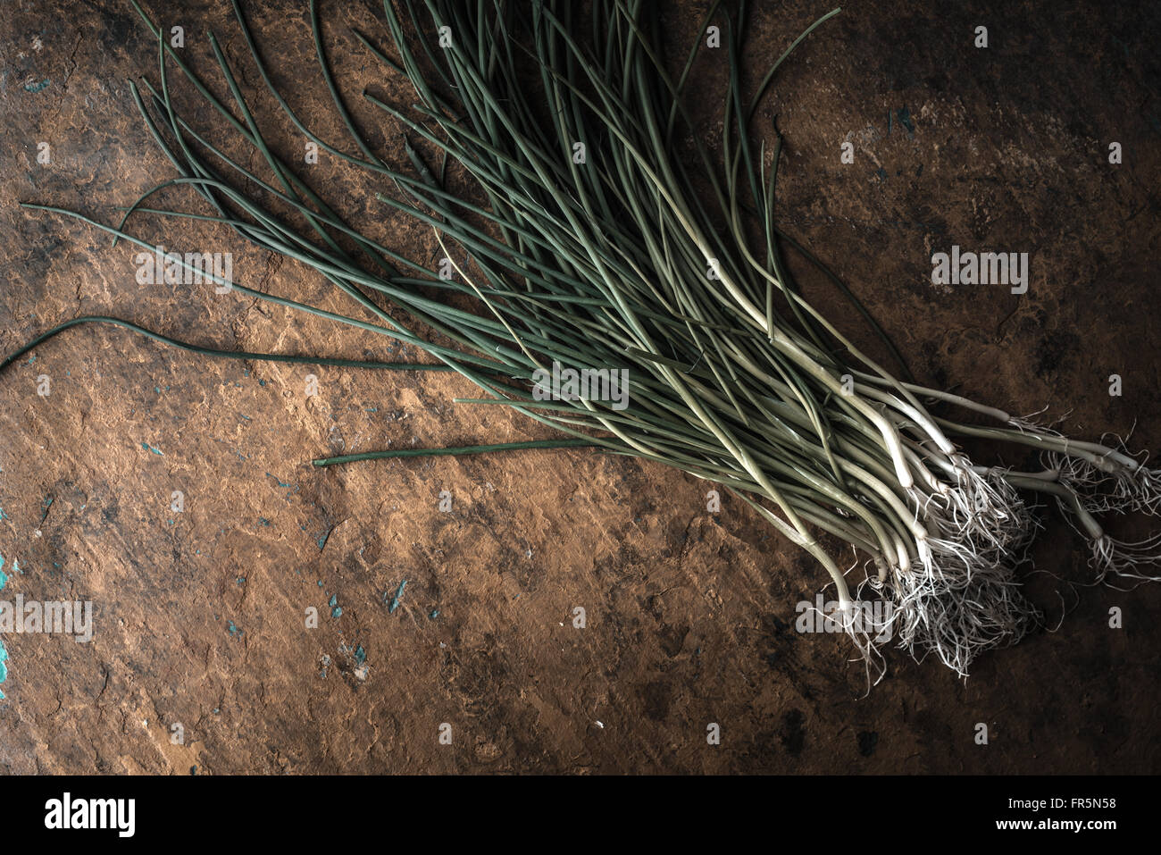 Green onion stalks and roots on the stone table horizontal Stock Photo ...
