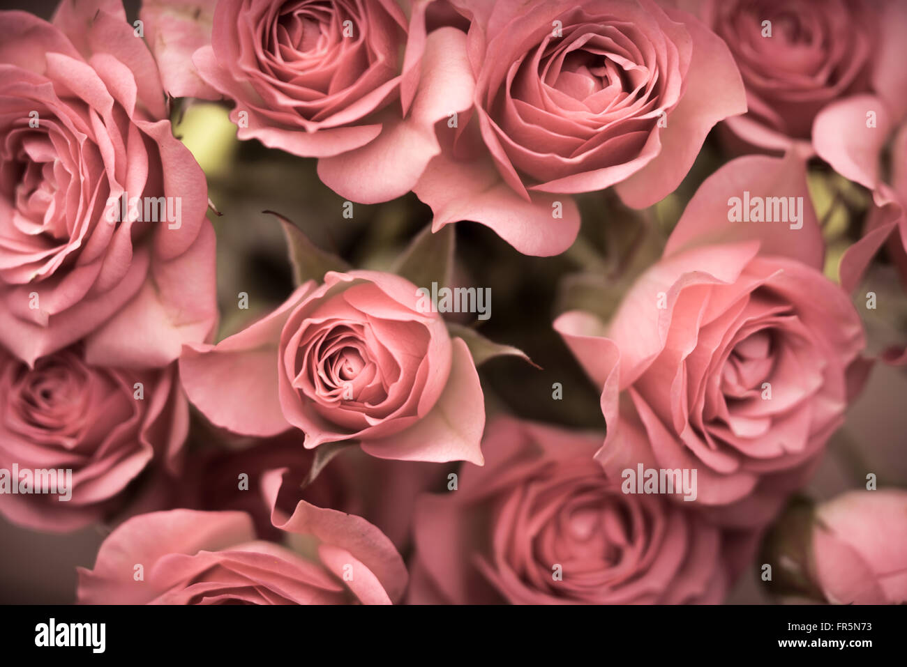 Horizontal bouquet hi-res stock photography and images - Alamy