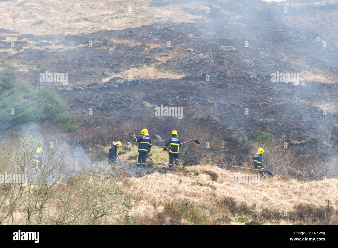 Fire service hi-res stock photography and images - Alamy