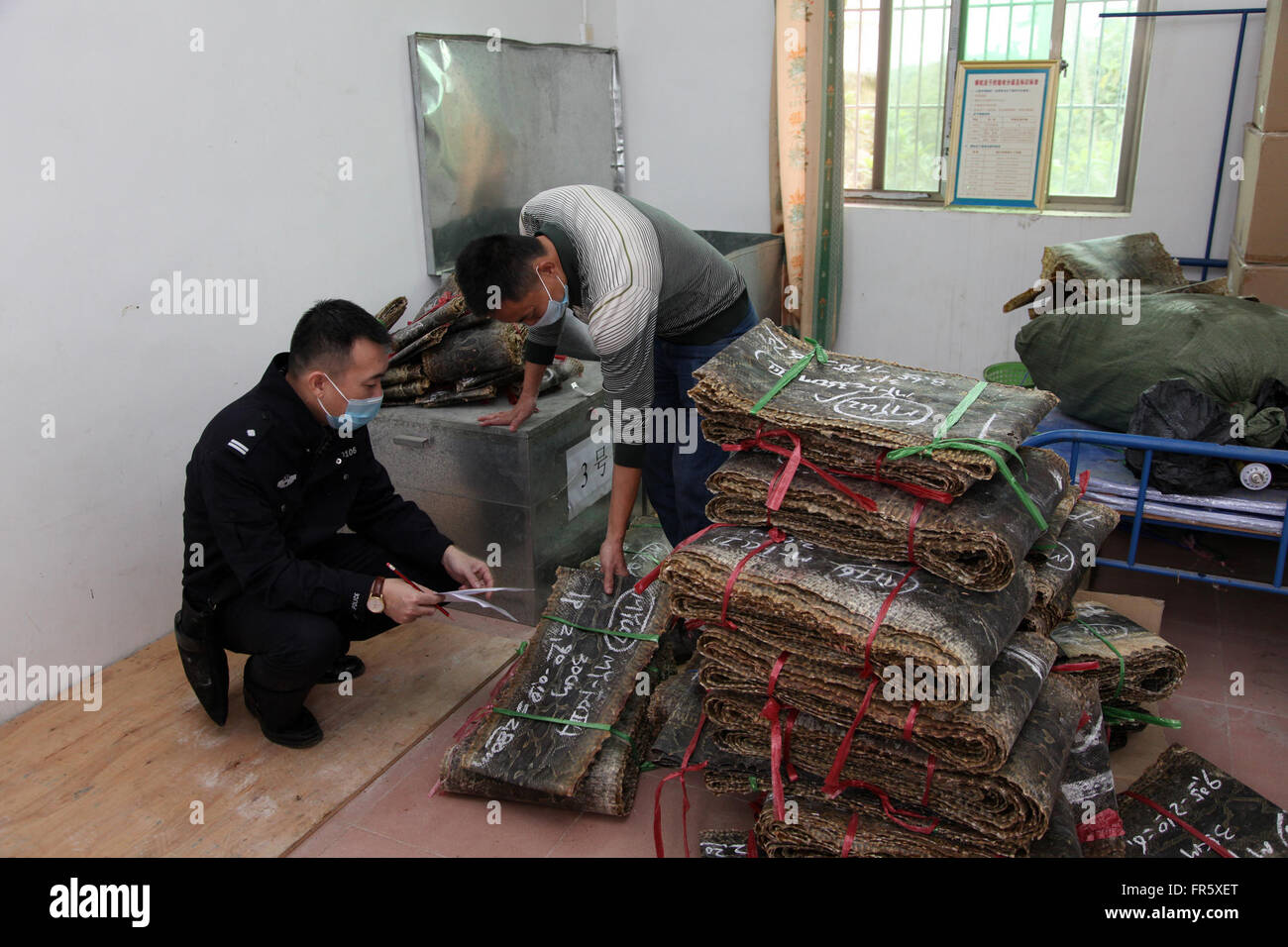 Haikou, China's Hainan Province. 30th Jan, 2016. Customs officers check ...