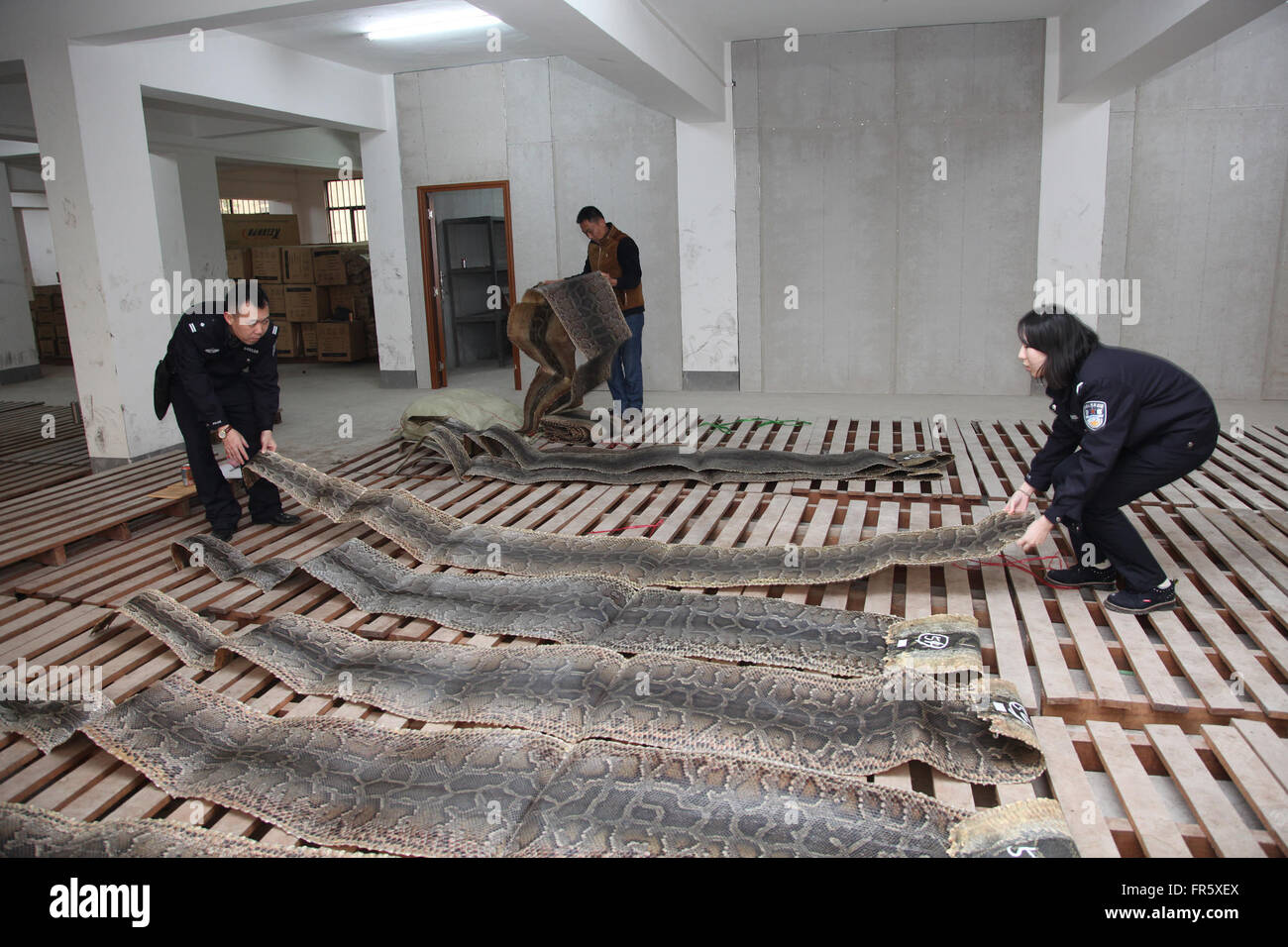 Haikou, China's Hainan Province. 30th Jan, 2016. Customs officers check ...