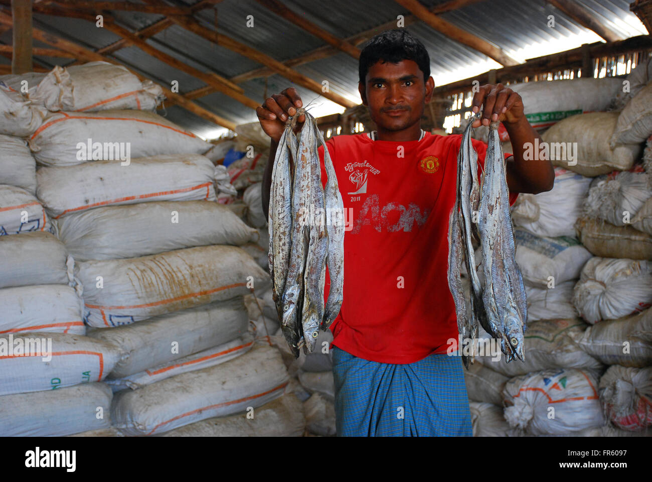 Cox's Bazar, Bangladesh. 19th Mar, 2016. Dried-fish production has got ...