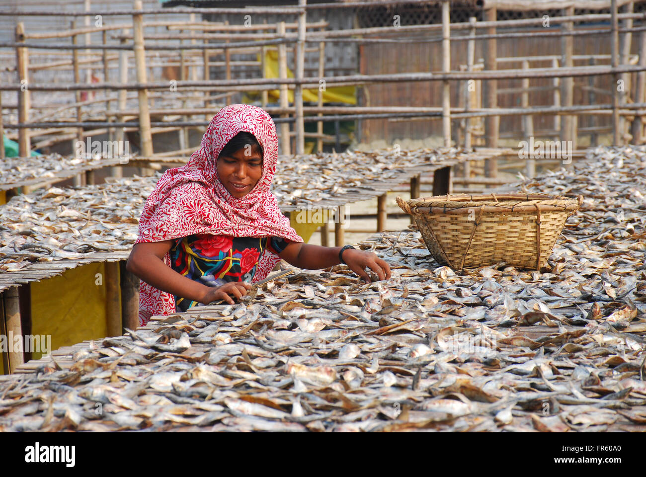 Export processing zones hi-res stock photography and images - Alamy