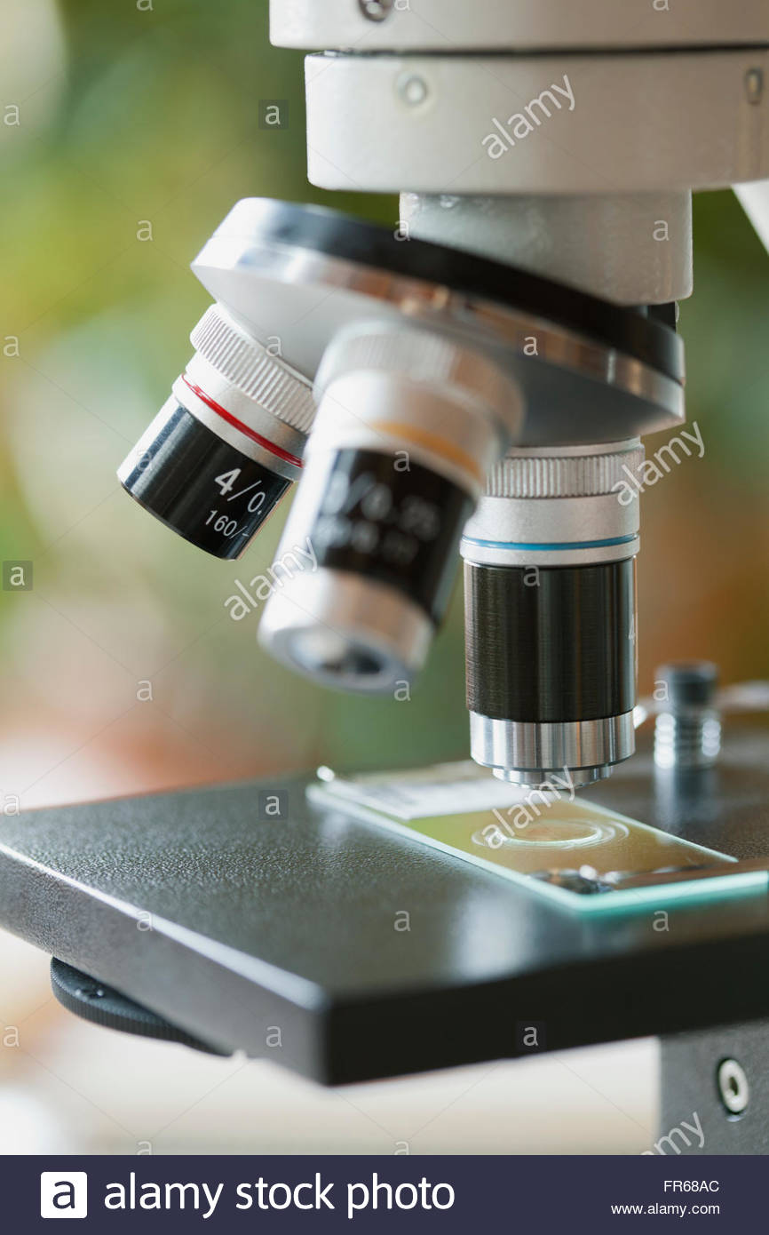 Microscope Slide Stock Photos & Microscope Slide Stock Images - Alamy