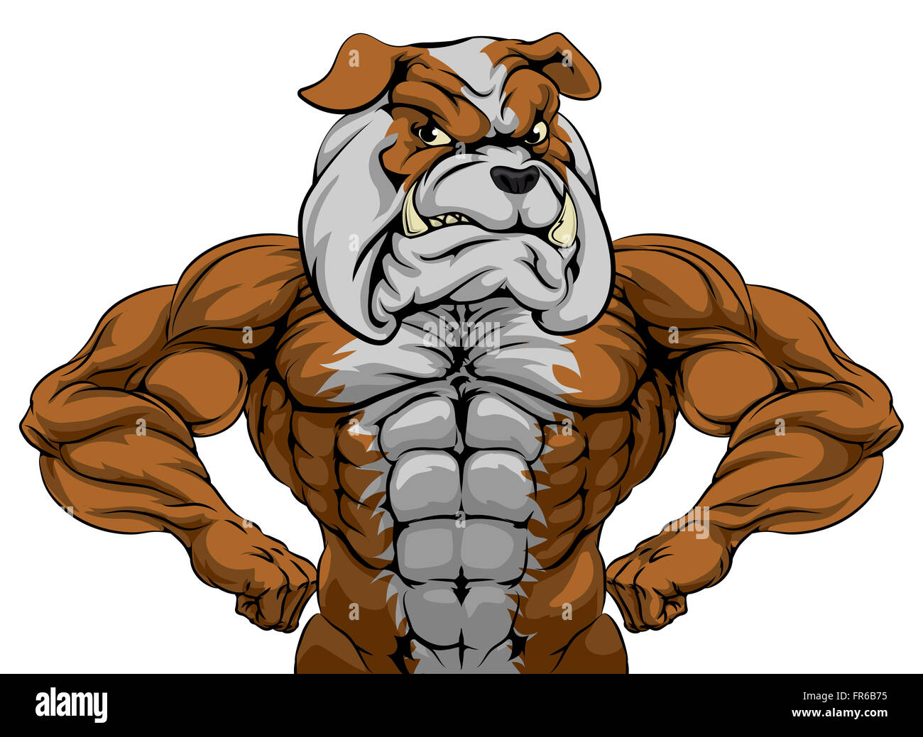 Cartoon tough mean strong bulldog hi-res stock photography and images ...