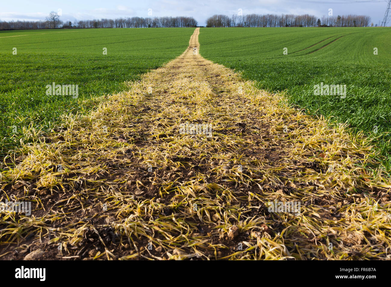Burnt farm field hi-res stock photography and images - Alamy