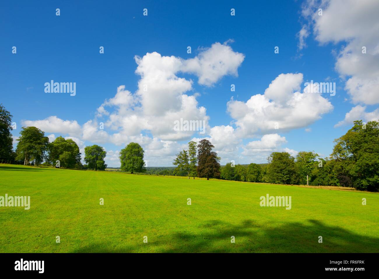 Green meadow with trees in Normandy, France Stock Photo - Alamy